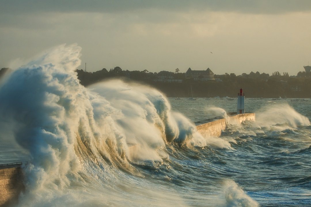 L'eau de mer - Algues alimentaires